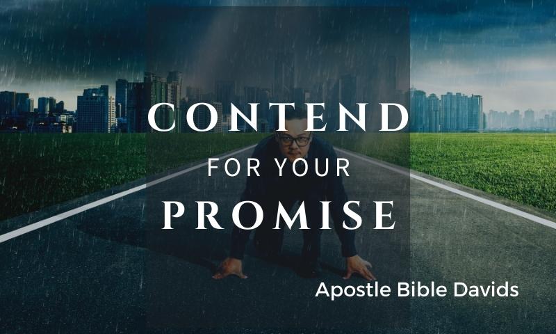 CONTEND FOR YOUR PROMISE - Bible Davids Ministries